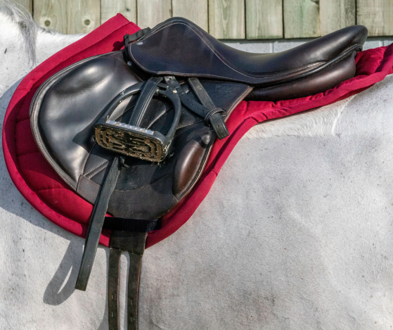 PolyPads Jump Forma Saddle Pad - PolyPads