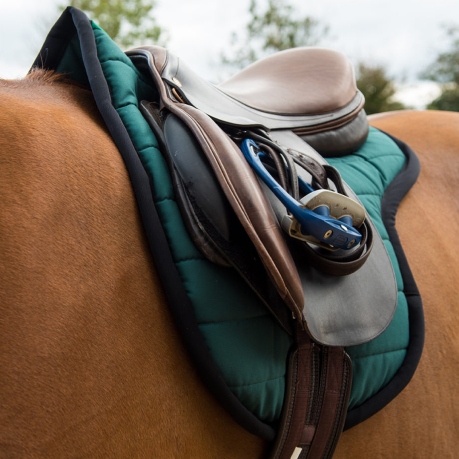 PolyPads Forma Saddle Pad - PolyPads